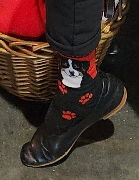 Bernese "Pop Art" Socks – Alpen Schatz