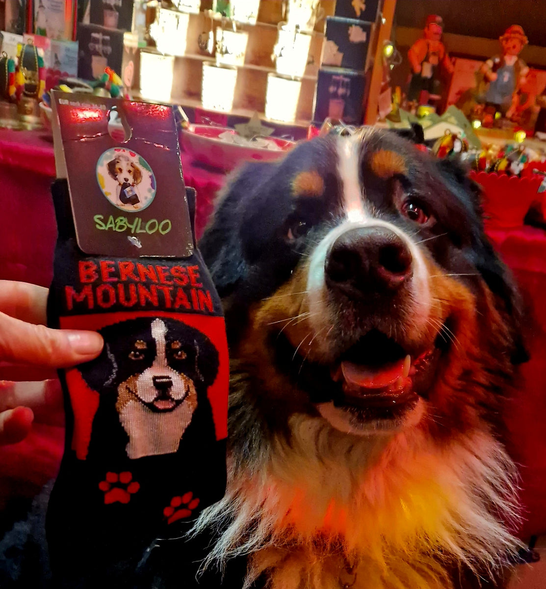 Bernese "Pop Art" Socks – Alpen Schatz
